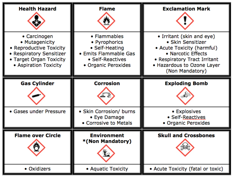 Streamlining Safety: The Essential Guide to SDS Management